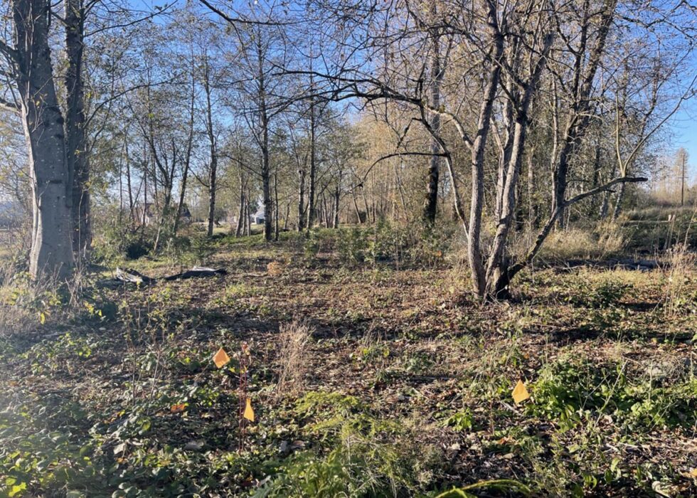 Enumclaw Plateau Community Association – A community action group ...